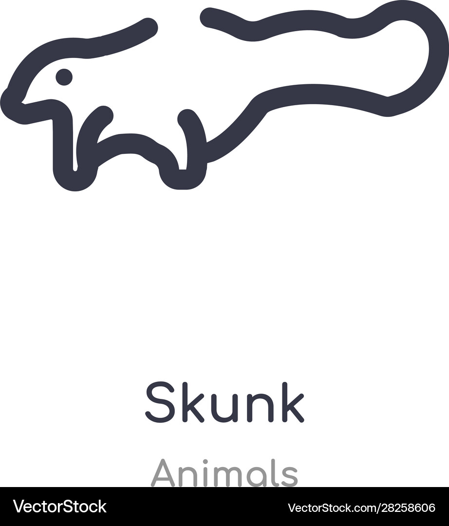 Skunk outline icon isolated line from animals Vector Image