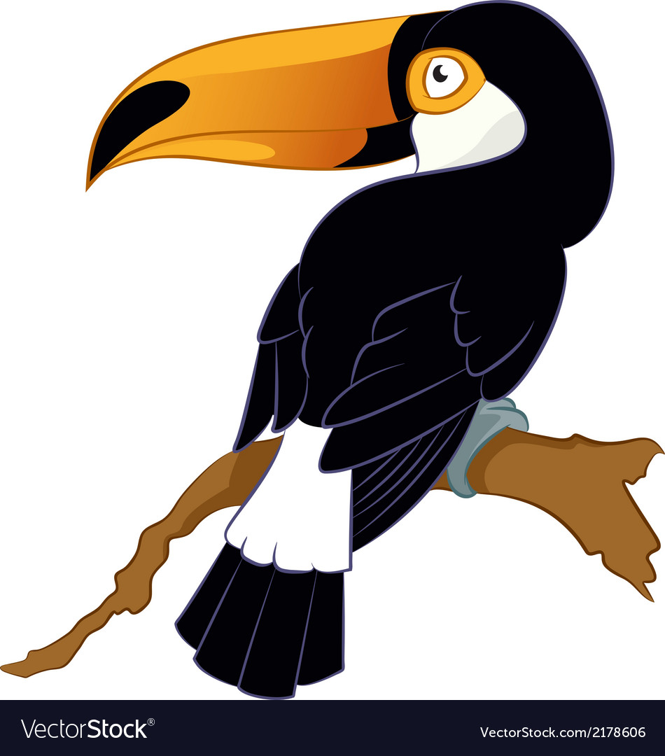 Toucan Royalty Free Vector Image - VectorStock