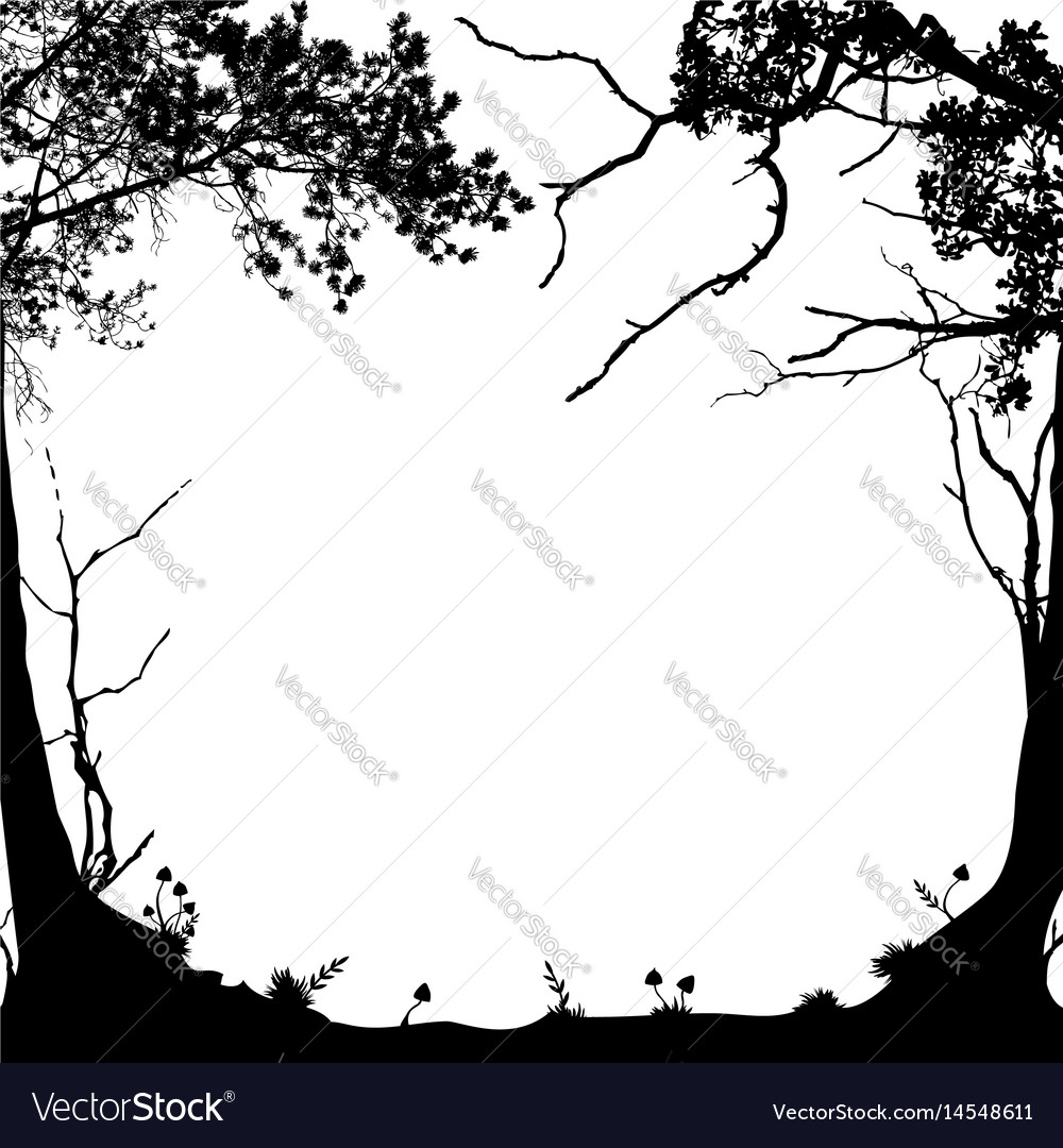 Forest frame Royalty Free Vector Image - VectorStock