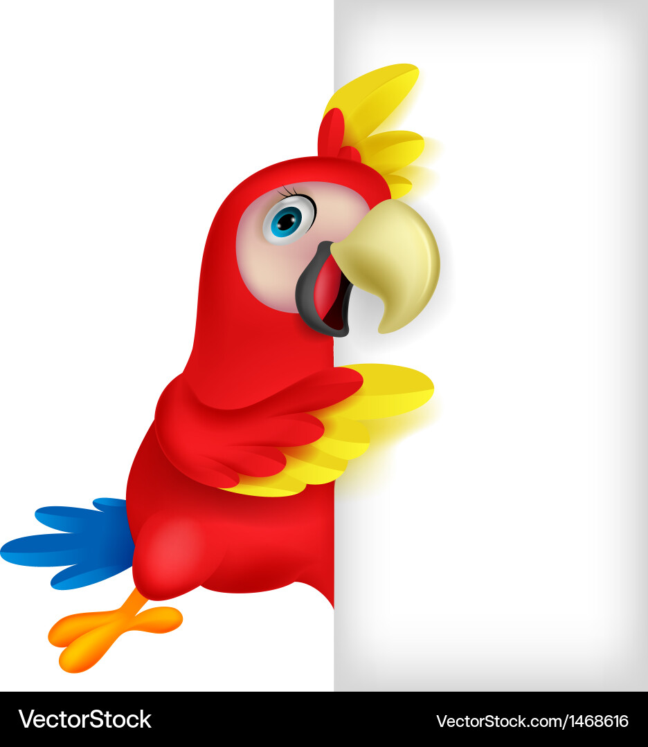 Macaw bird cartoon with blank sign Royalty Free Vector Image