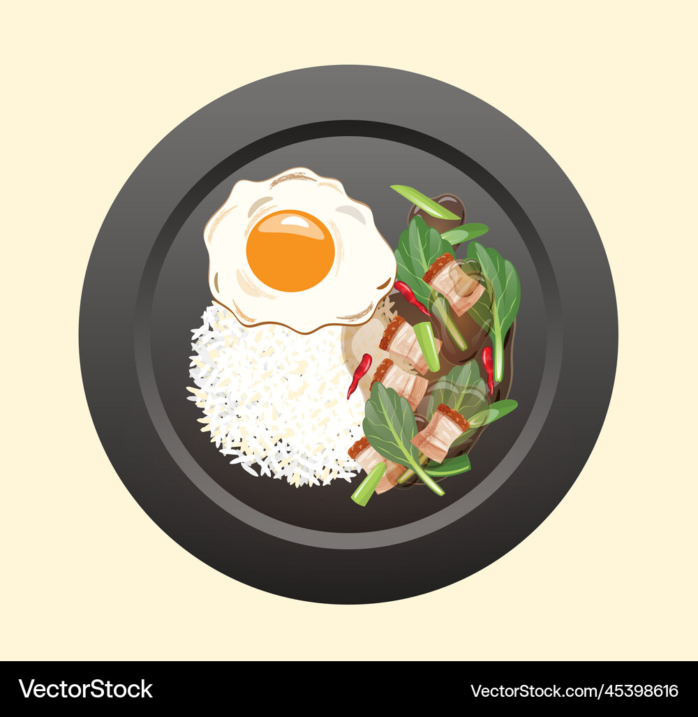 Thai food rice on plate Royalty Free Vector Image