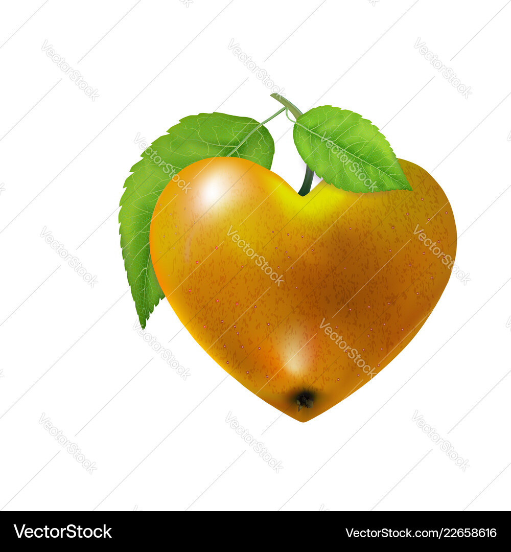 Yellow ripe apple heart isolated modern Royalty Free Vector