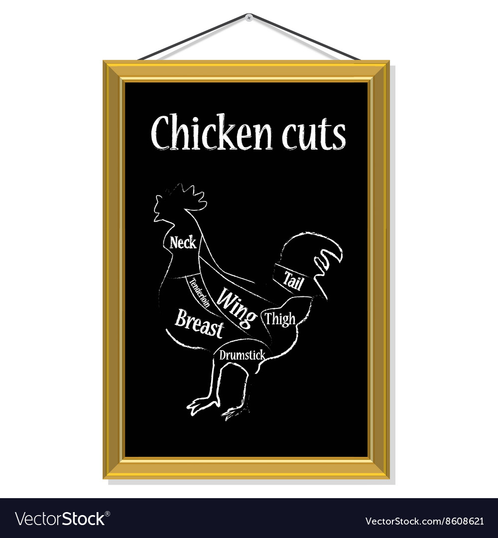 Chicken cuts Royalty Free Vector Image - VectorStock