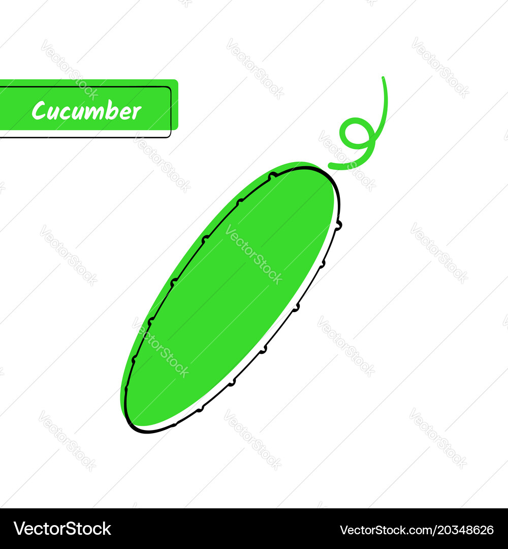 Flat cucumber education card with black contour Vector Image