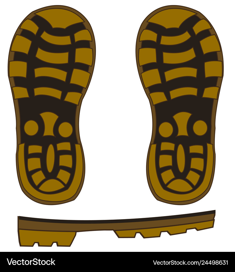 Sole shoe on white background is insulated Vector Image