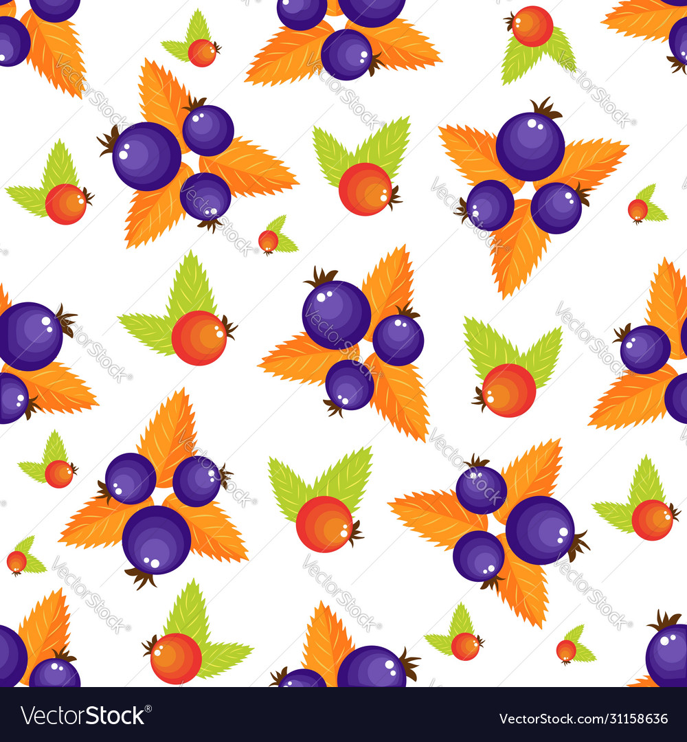 Assorted forest berries seamless pattern simple Vector Image