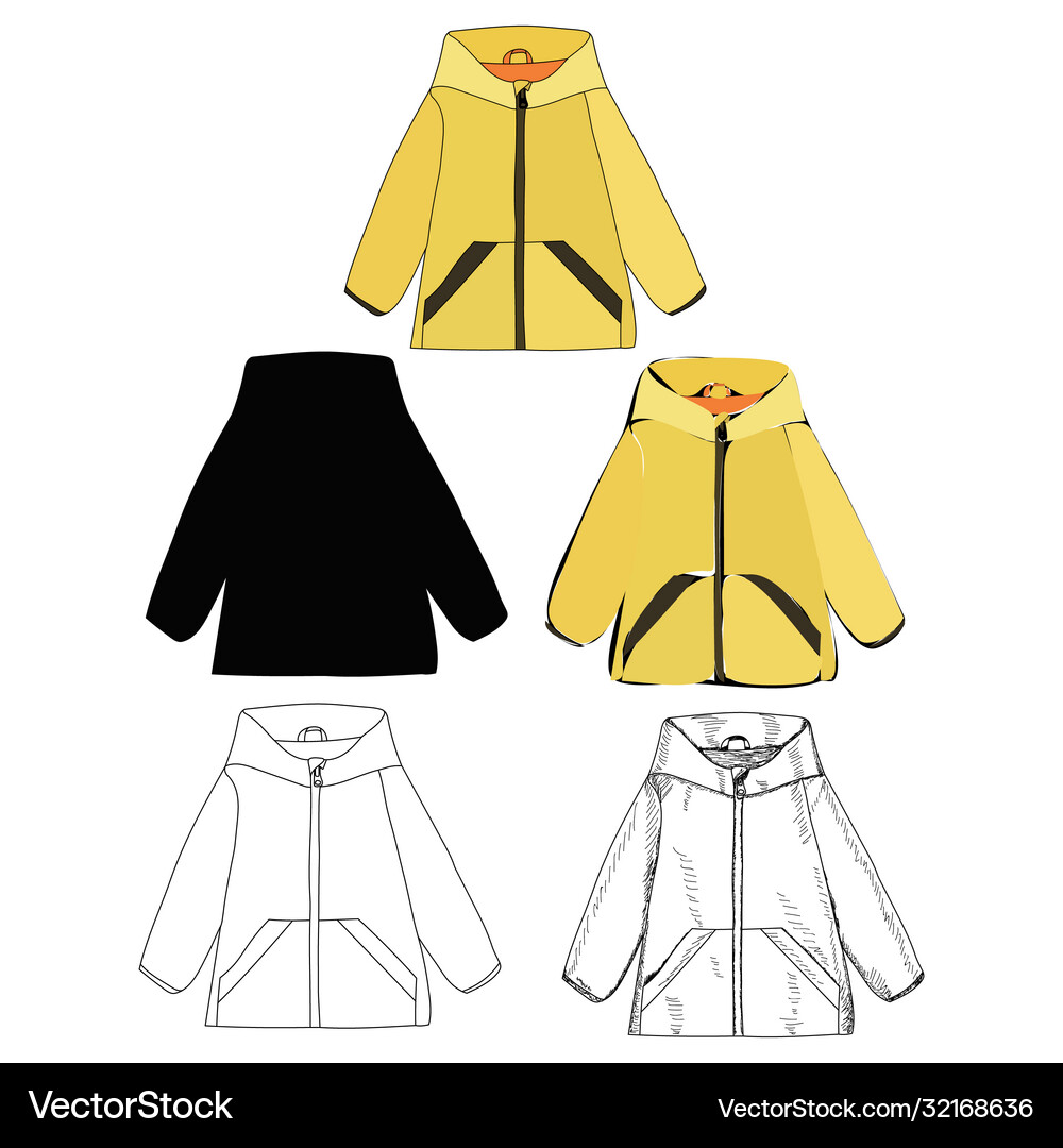 On a white background womens clothing jacket Vector Image