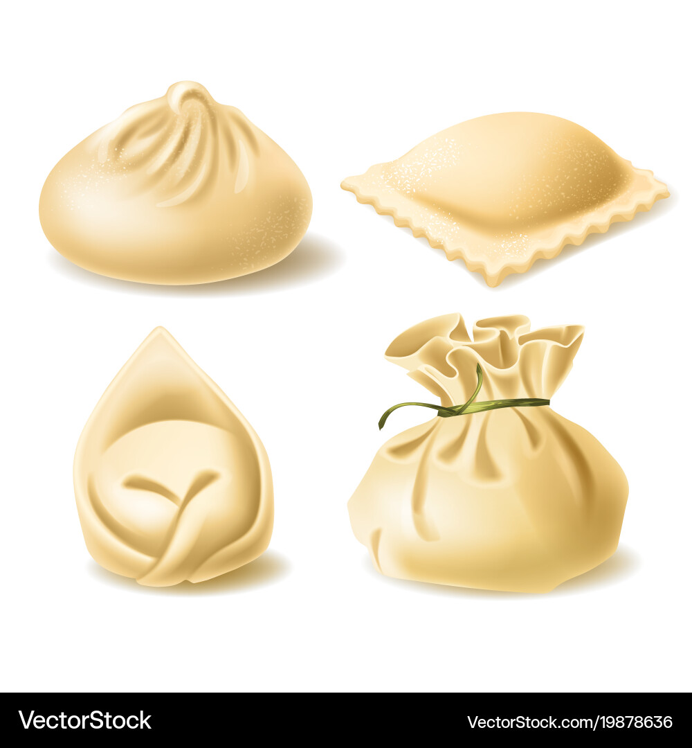 Realistic clipart of different dumplings Vector Image