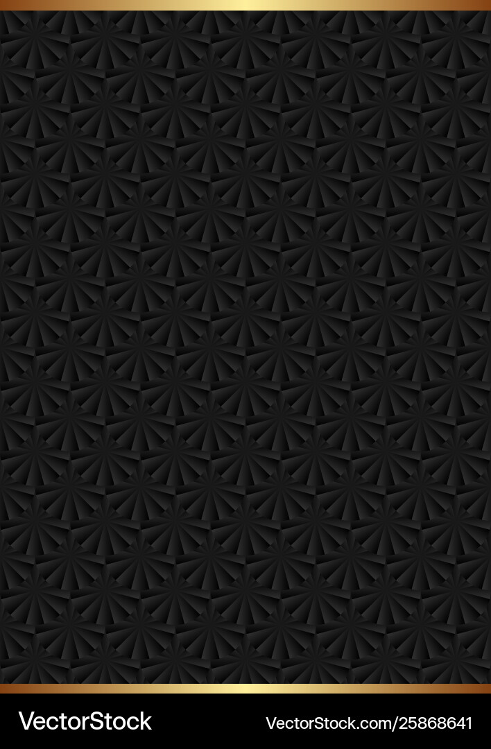 Black background with decorative pattern Vector Image
