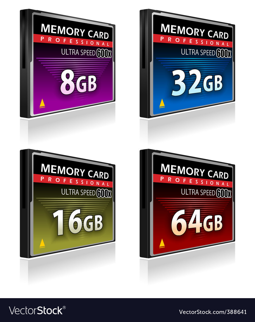 Compact flash memory cards Royalty Free Vector Image