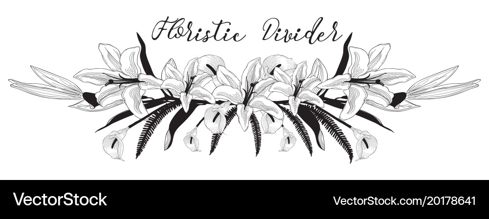 Delicate floral text divider lily flower design Vector Image