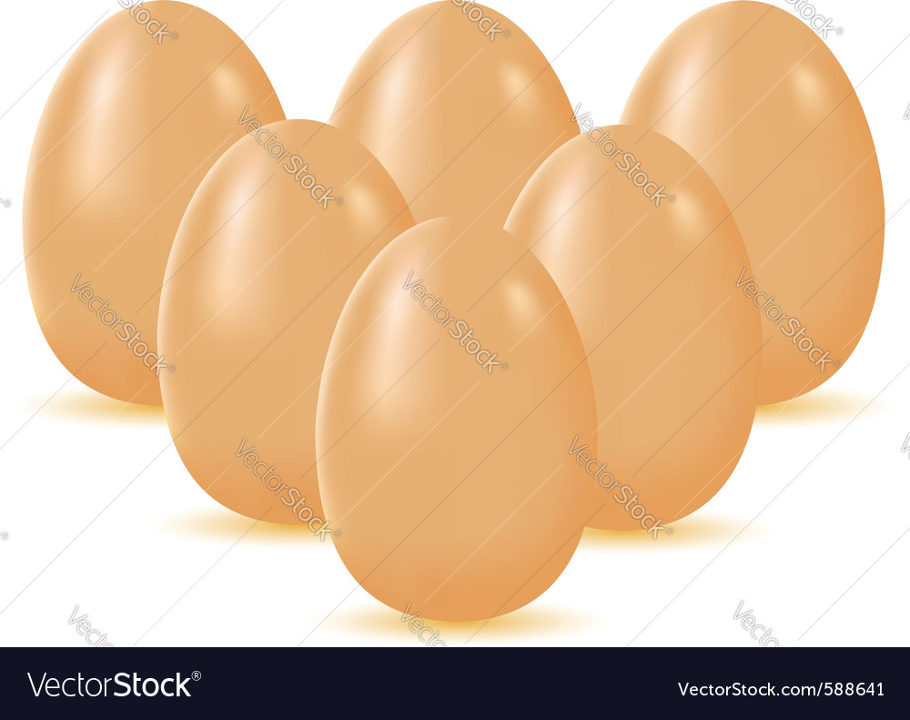 Egg isolated Royalty Free Vector Image - VectorStock