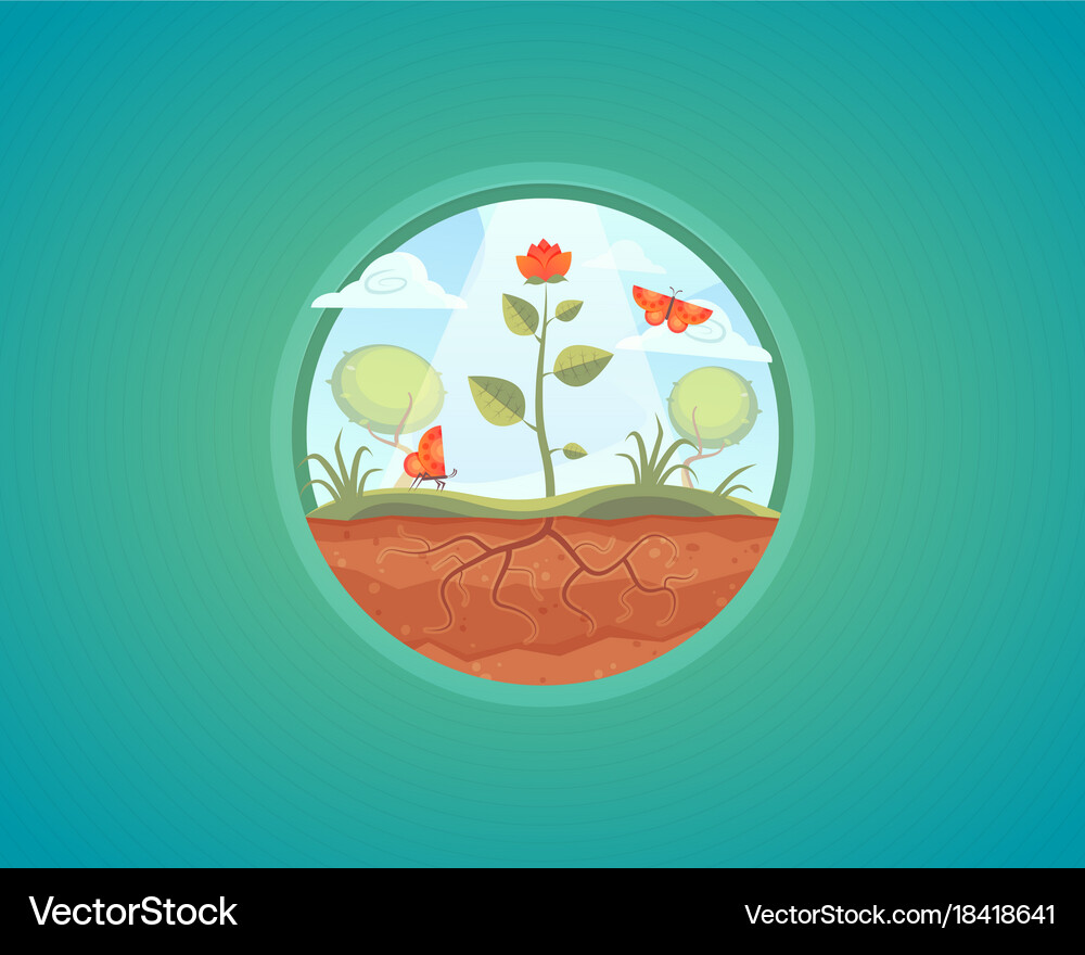 Growing plant flower growth Royalty Free Vector Image