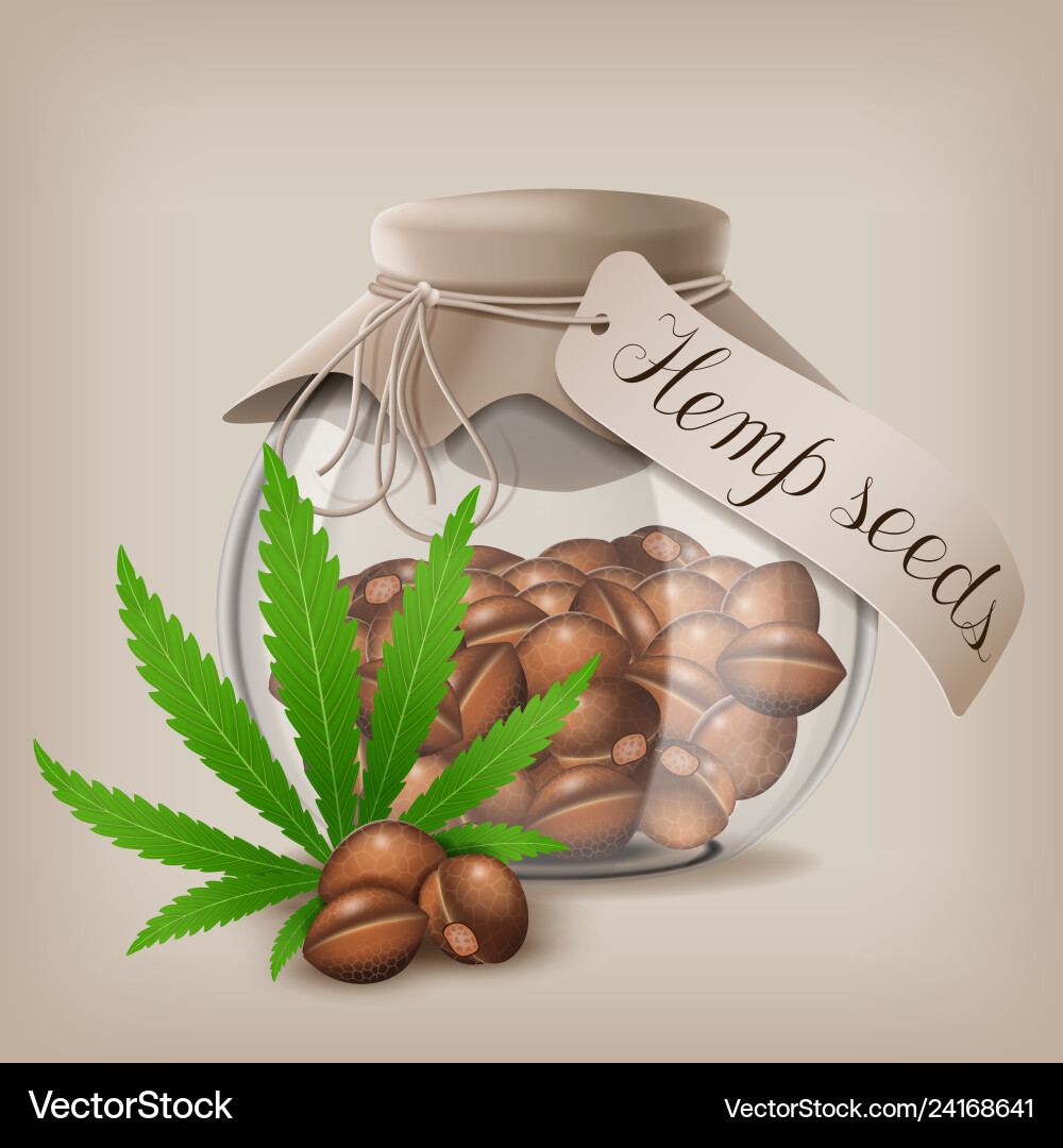 Hemp seeds n a glass jar with leaf Royalty Free Vector Image