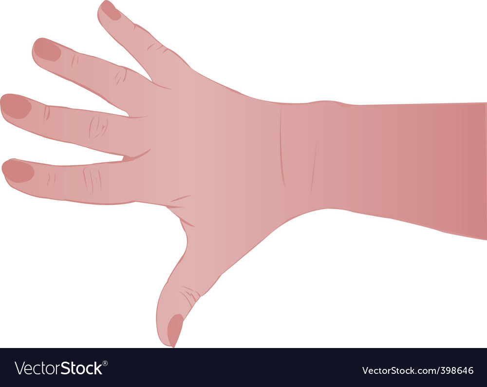 Human hand Royalty Free Vector Image - VectorStock