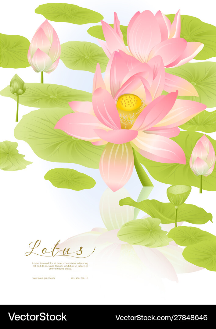 Pink Lotus Wedding Lotus Themed Pink Wedding Invitation Lotus Card
