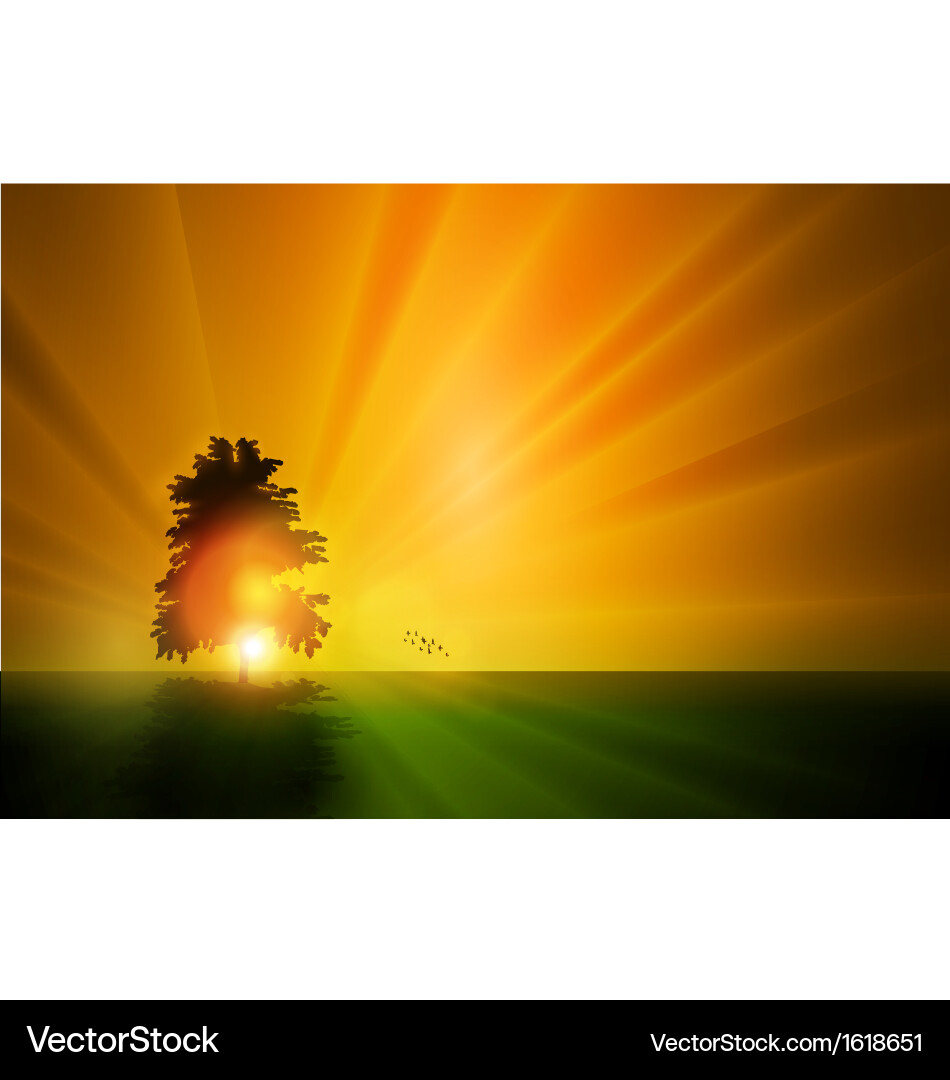 Sunset landscape Royalty Free Vector Image - VectorStock