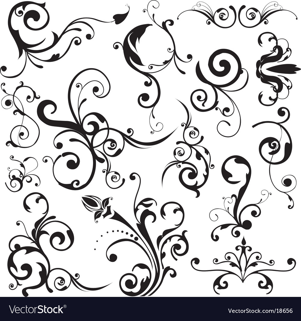 Floral design elements Royalty Free Vector Image