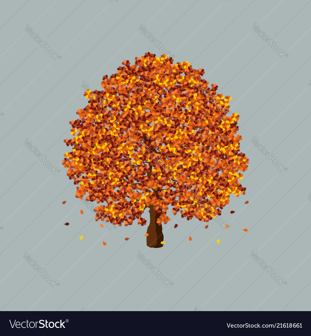 Autumn tree Royalty Free Vector Image - VectorStock