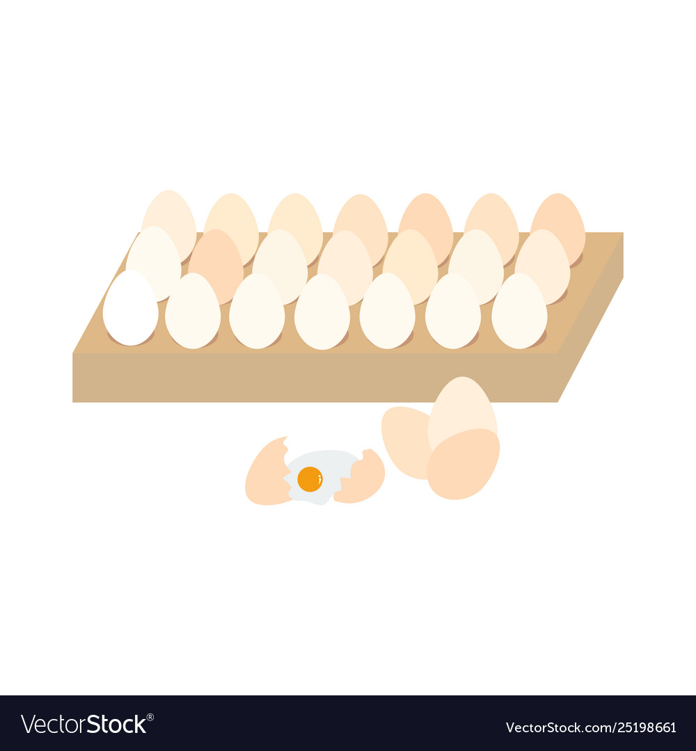 Eggs Royalty Free Vector Image - VectorStock