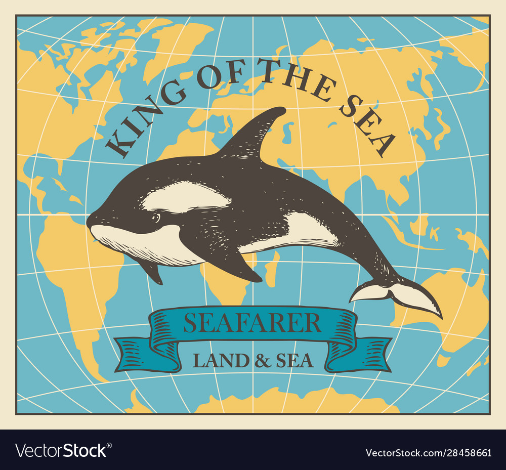 Travel banner with killer whale and world map Vector Image