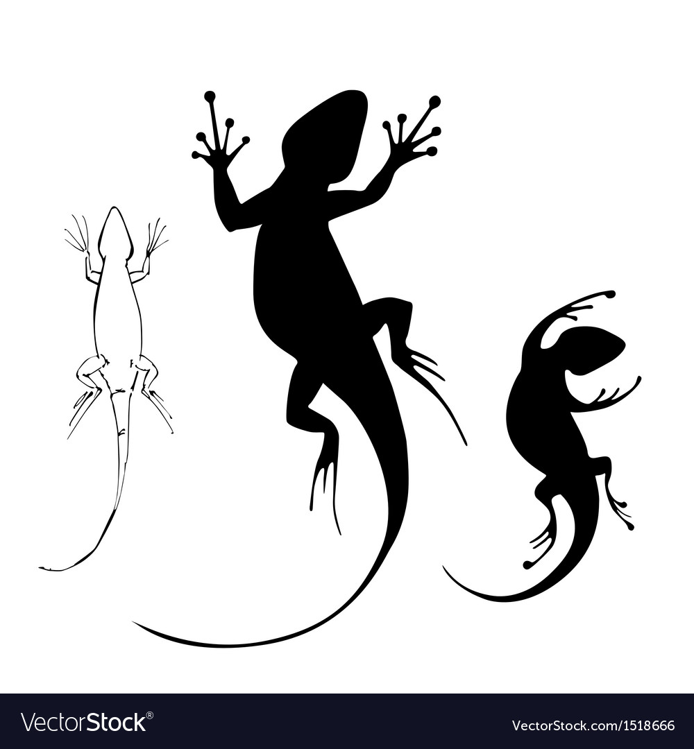 Lizard Royalty Free Vector Image - VectorStock