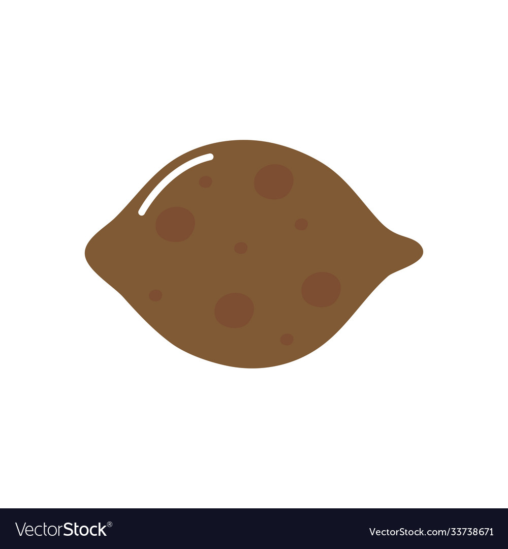 Pine nut icon flat style Royalty Free Vector Image