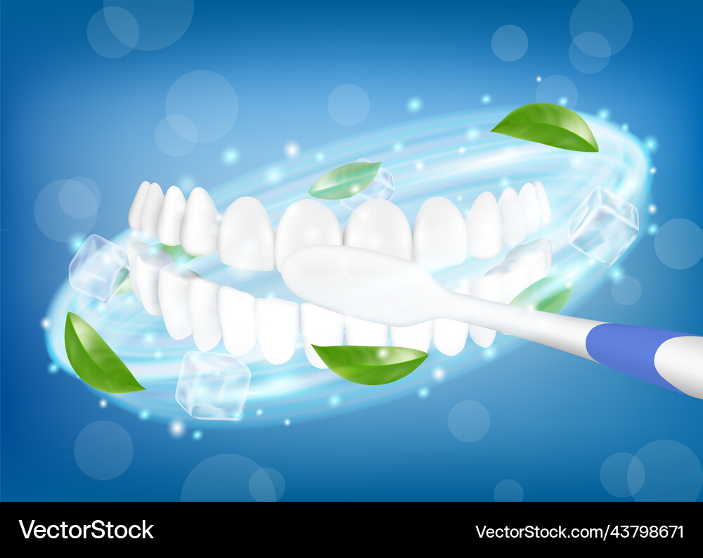 Teeth brushing toothbrush cleaning white healthy Vector Image