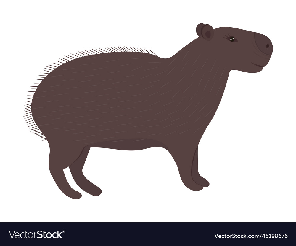 Cute capybara brown Royalty Free Vector Image - VectorStock Cute capybara brown Royalty Free Vector Image - VectorStock