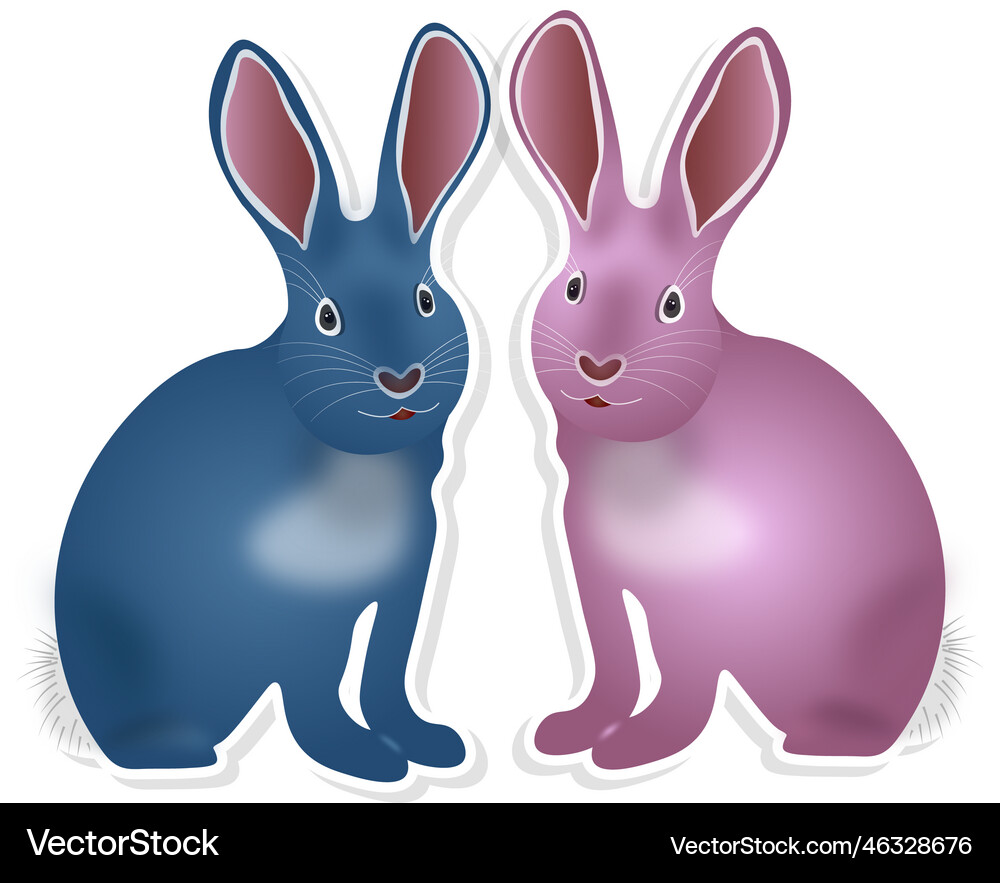 Cute pair of bunnies Royalty Free Vector Image