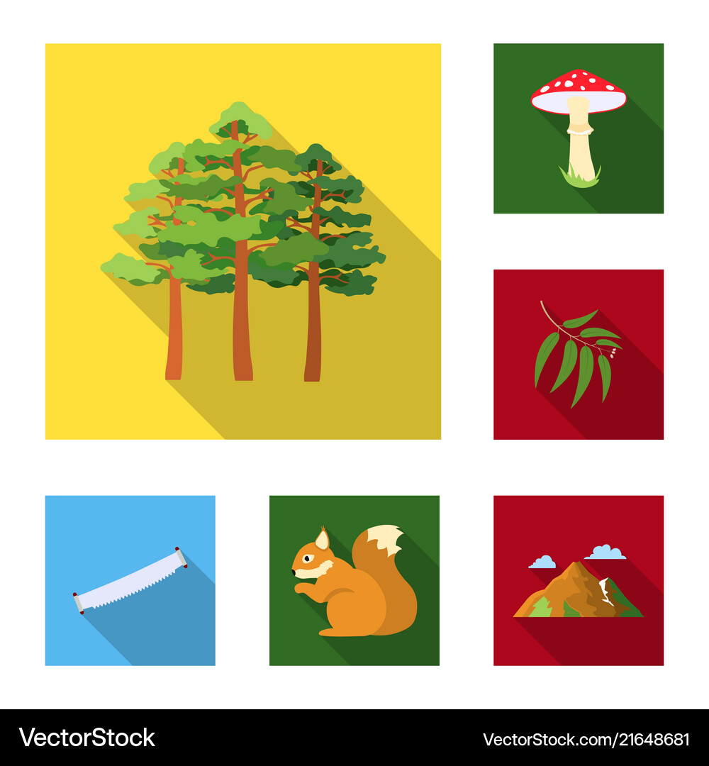 Forest and nature flat icons in set collection Vector Image