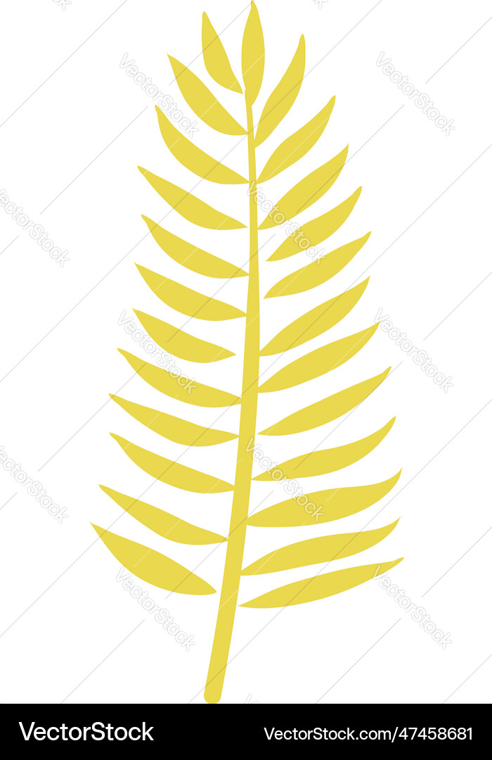 Tropical palm tree leaf fern frond Royalty Free Vector Image