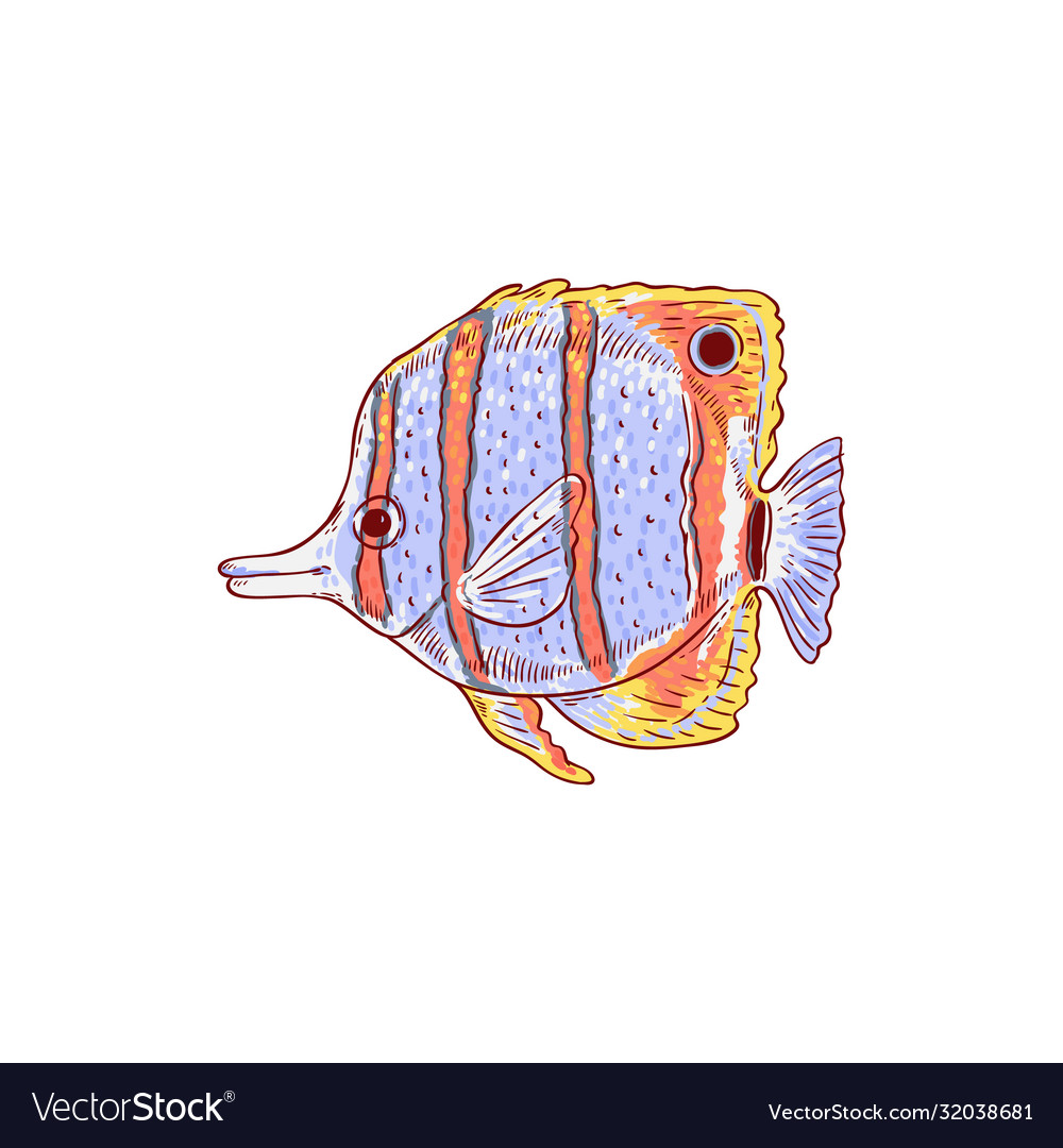 Tropical sea butterfly fish and beak coralfish Vector Image