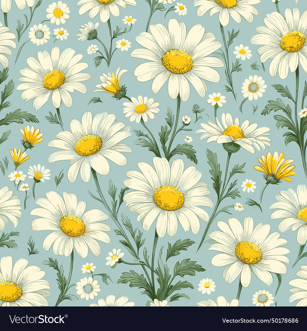 Daisies flower pattern Royalty Free Vector Image