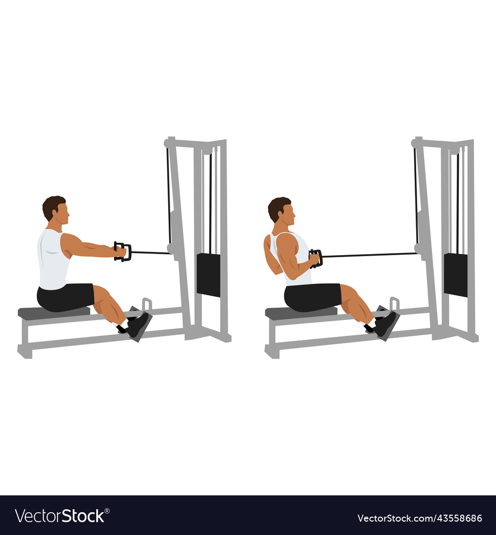 Man doing seated low cable back rows exercise Vector Image