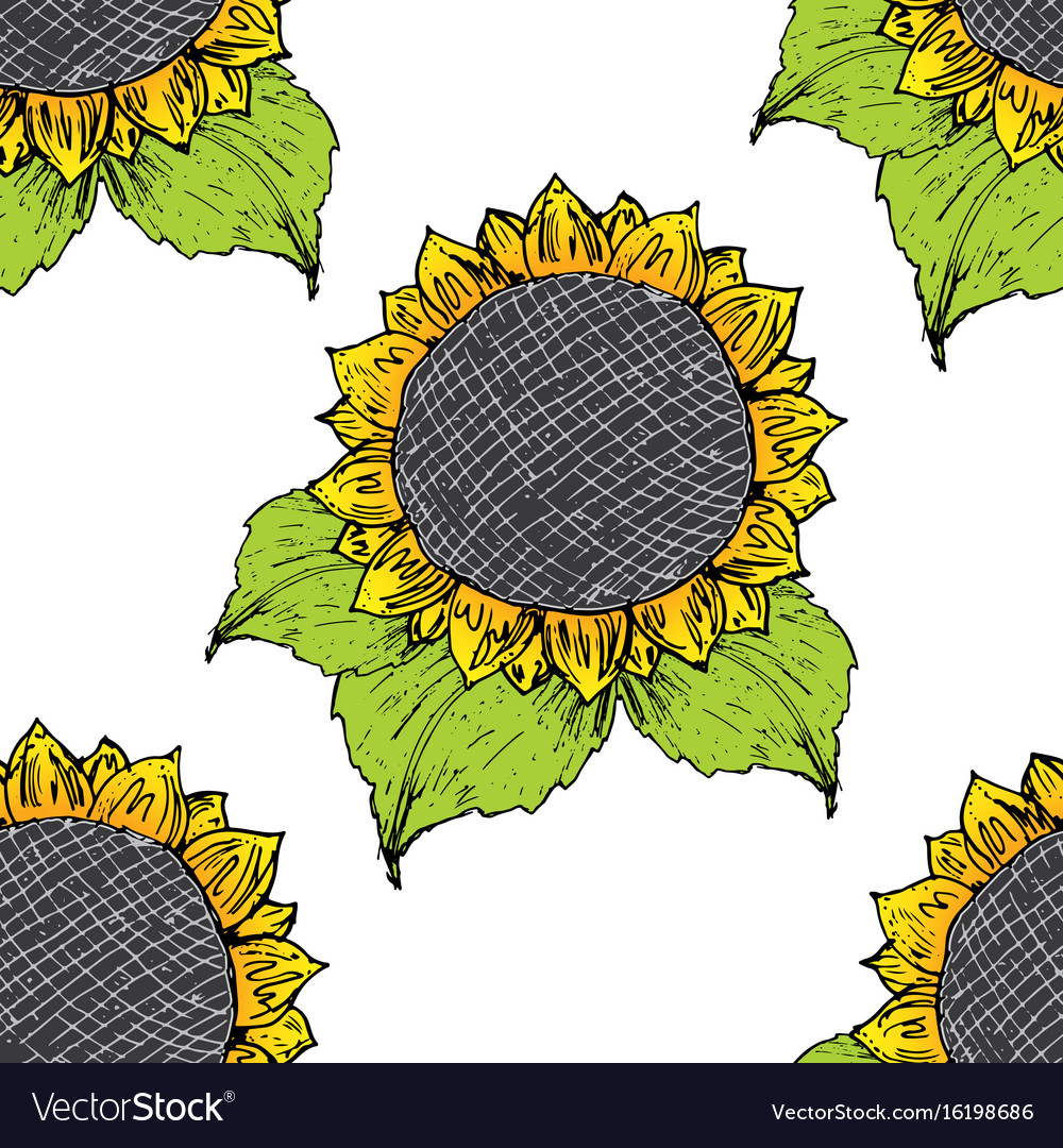 Sunflower seamless pattern hand drawn sketch Vector Image Sunflower seamless pattern hand drawn sketch Vector Image