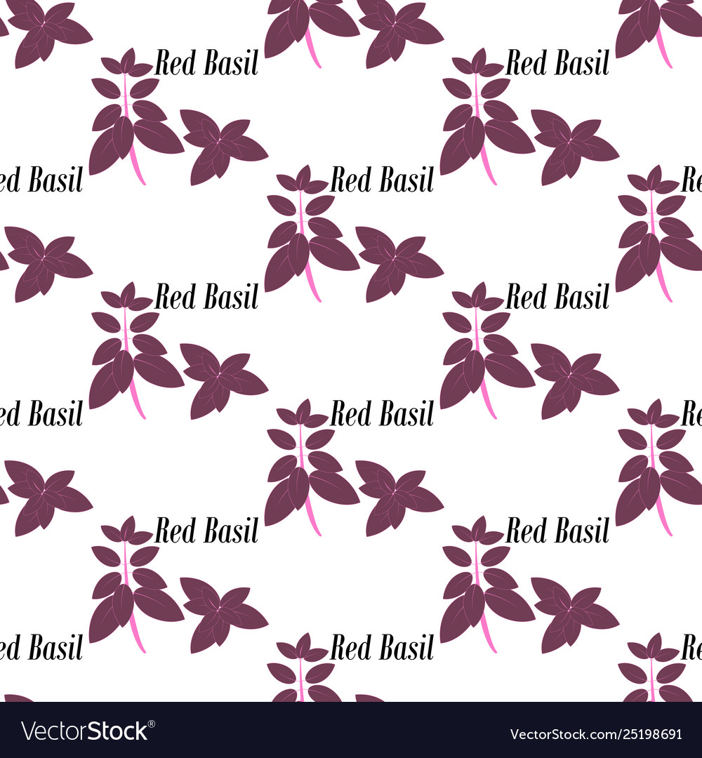 Red basil seamless pattern Royalty Free Vector Image