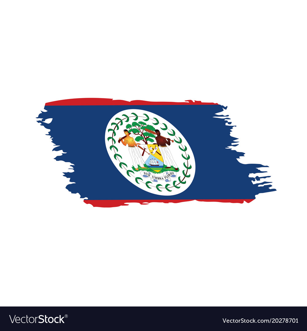 Belize flag Royalty Free Vector Image - VectorStock
