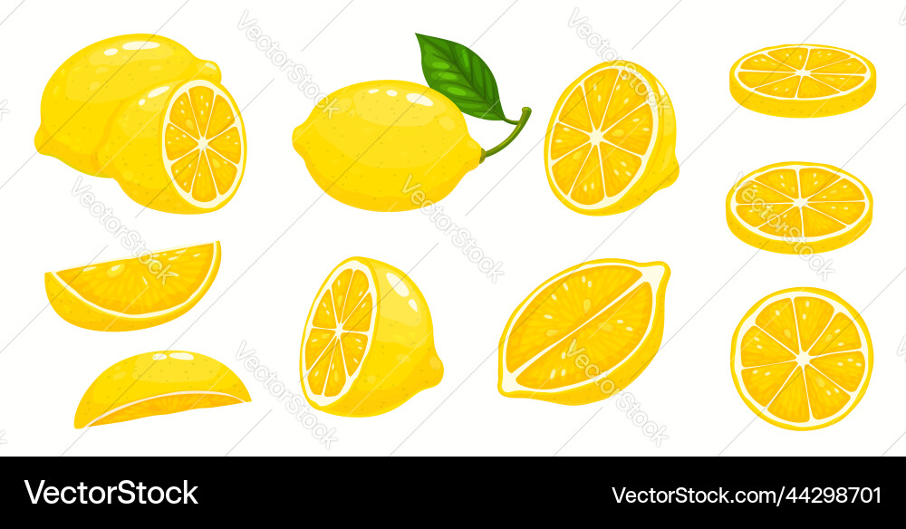 Cartoon lemon fruit slices cut and whole with leaf