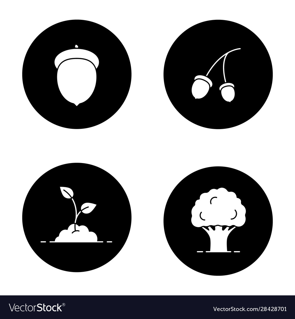 Forestry glyph icons set Royalty Free Vector Image