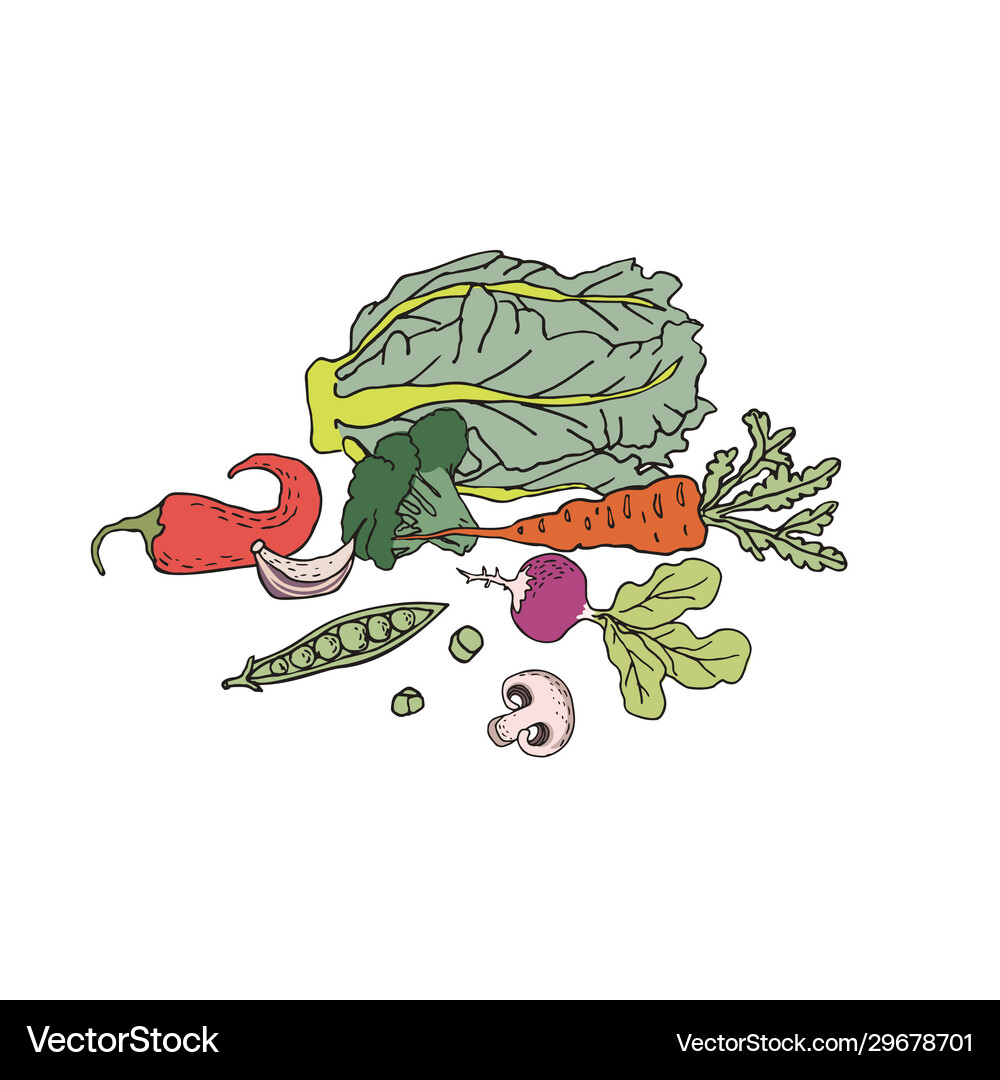 Set hand drawn vegetables vegan concept Royalty Free Vector