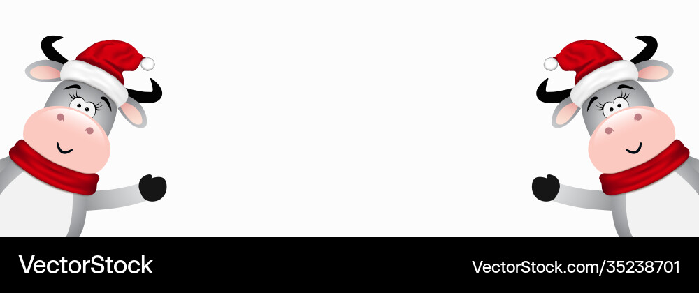 Two funny santa bull on a white background Vector Image