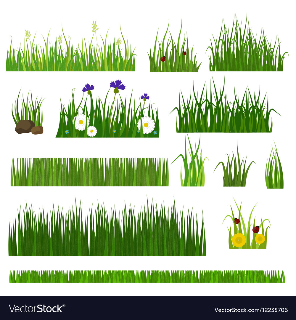 Grass Royalty Free Vector Image - VectorStock