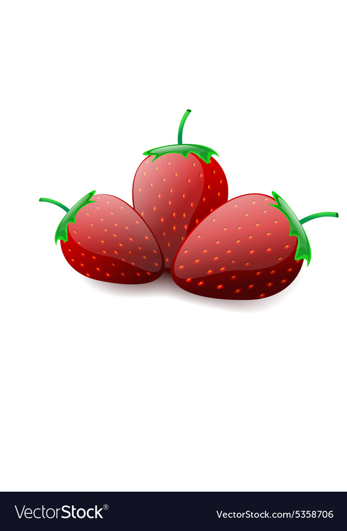Strawberry Royalty Free Vector Image - VectorStock