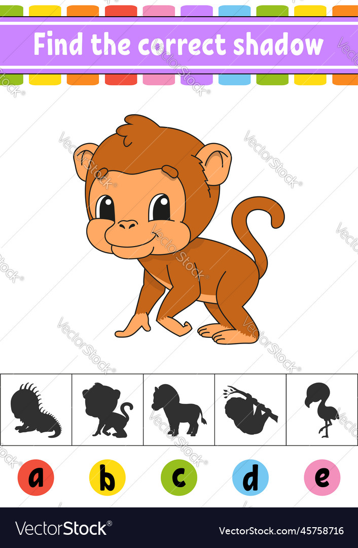 Find the correct shadow education developing Vector Image