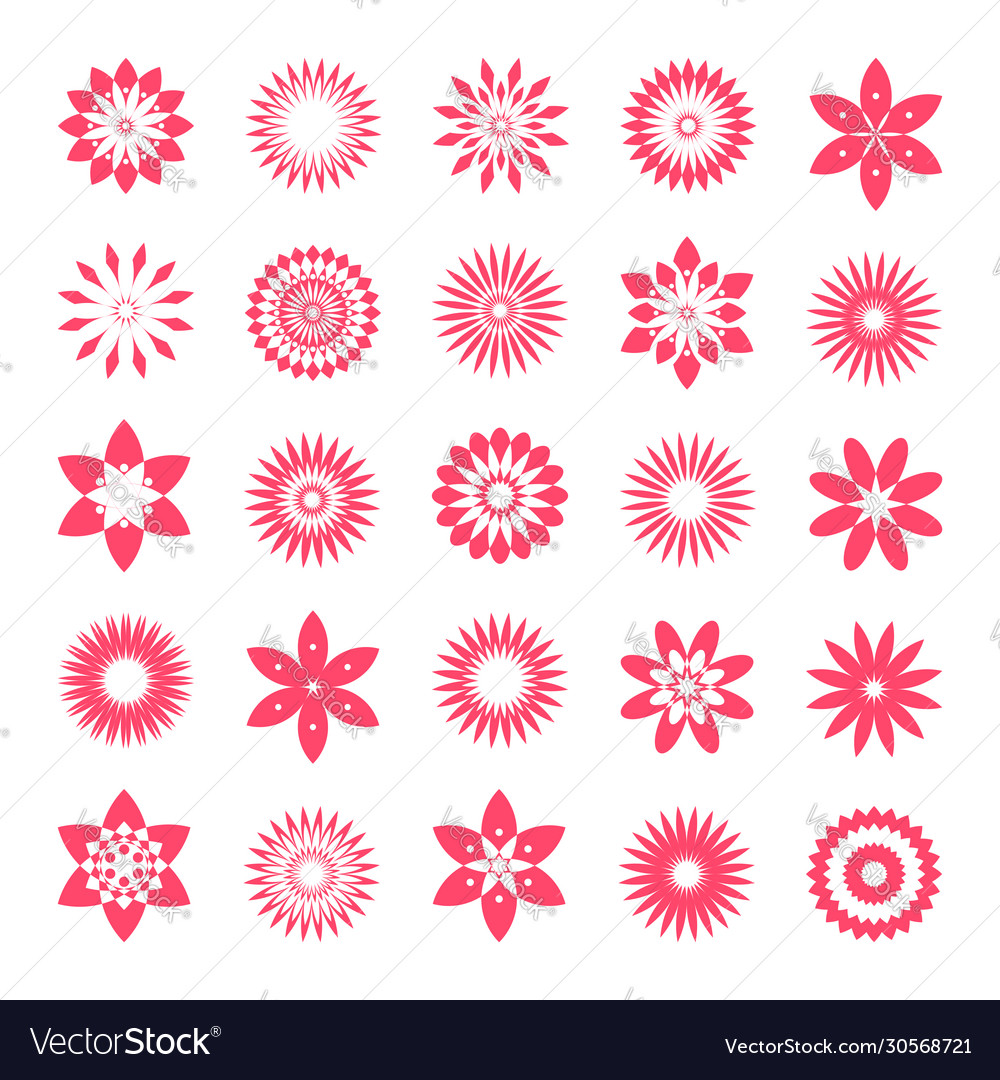 Decorative circle floral design elements Vector Image