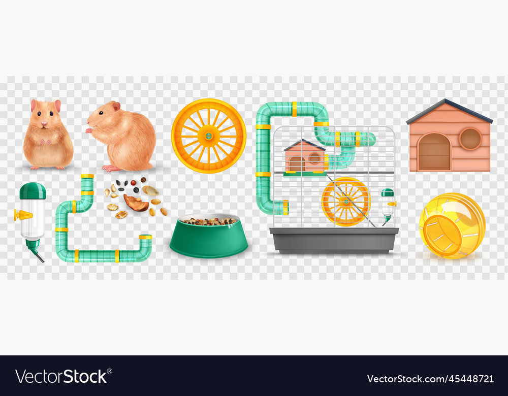 Realistic hamster set Royalty Free Vector Image