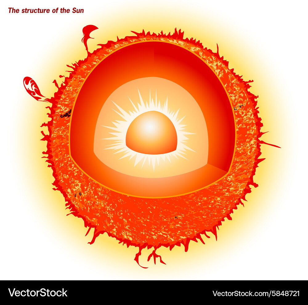 Structure of the sun Royalty Free Vector Image
