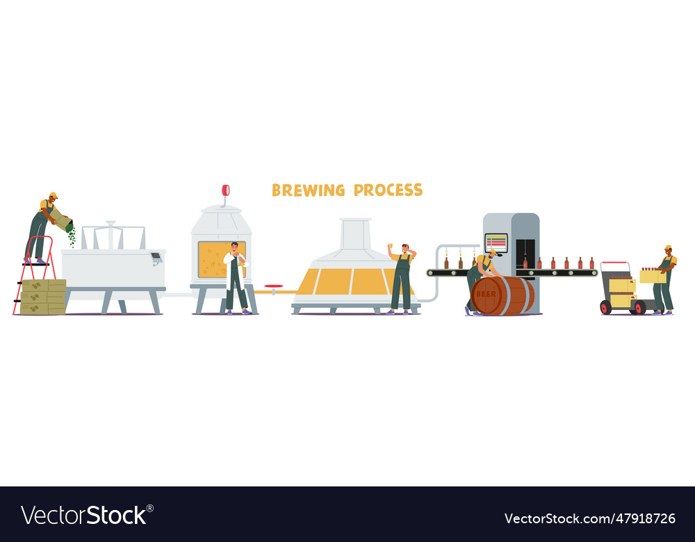 Beer brewing production process involves steps Vector Image