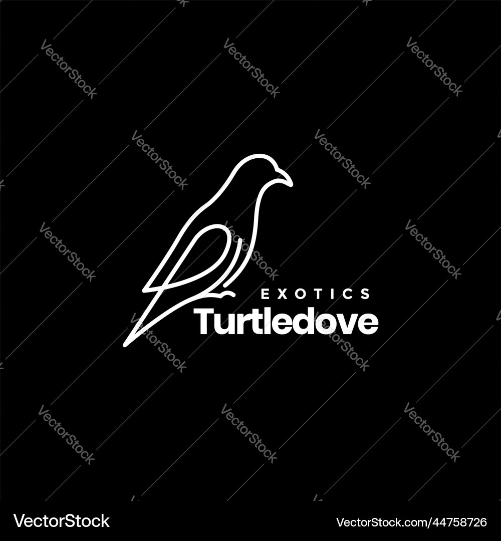 Exotic bird turtle dove line minimalist modern Vector Image